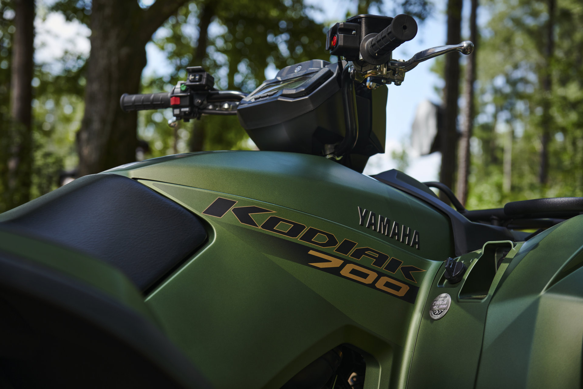YFM700FWBD SE - Product Library - Product Library | YAMAHA MOTOR CO., LTD.